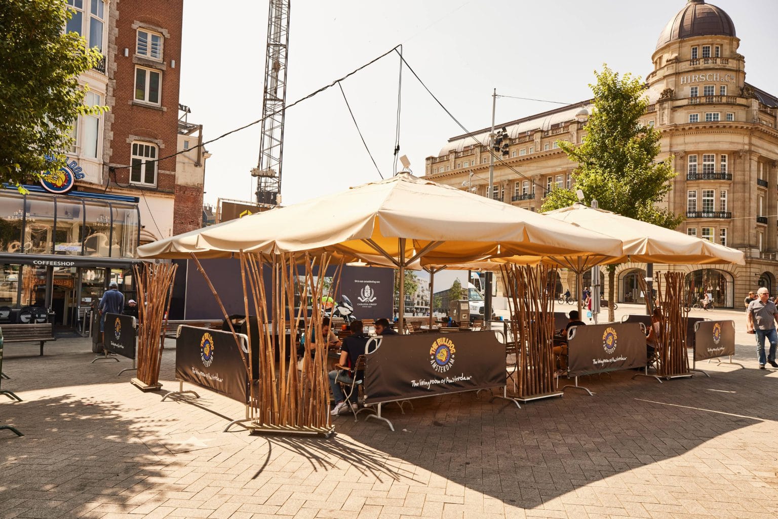 Bar The Palace | The Bulldog